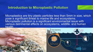 Plastic Pollution and Microplastic Pollution 123.pptx