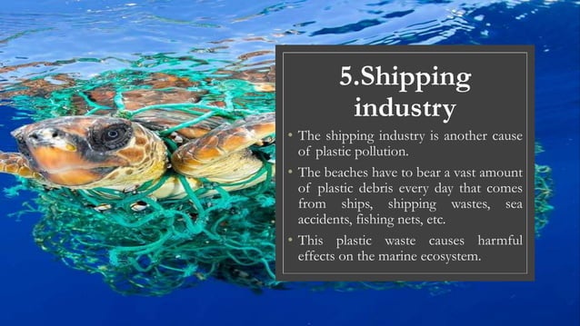 plastic pollution environment management | PPT