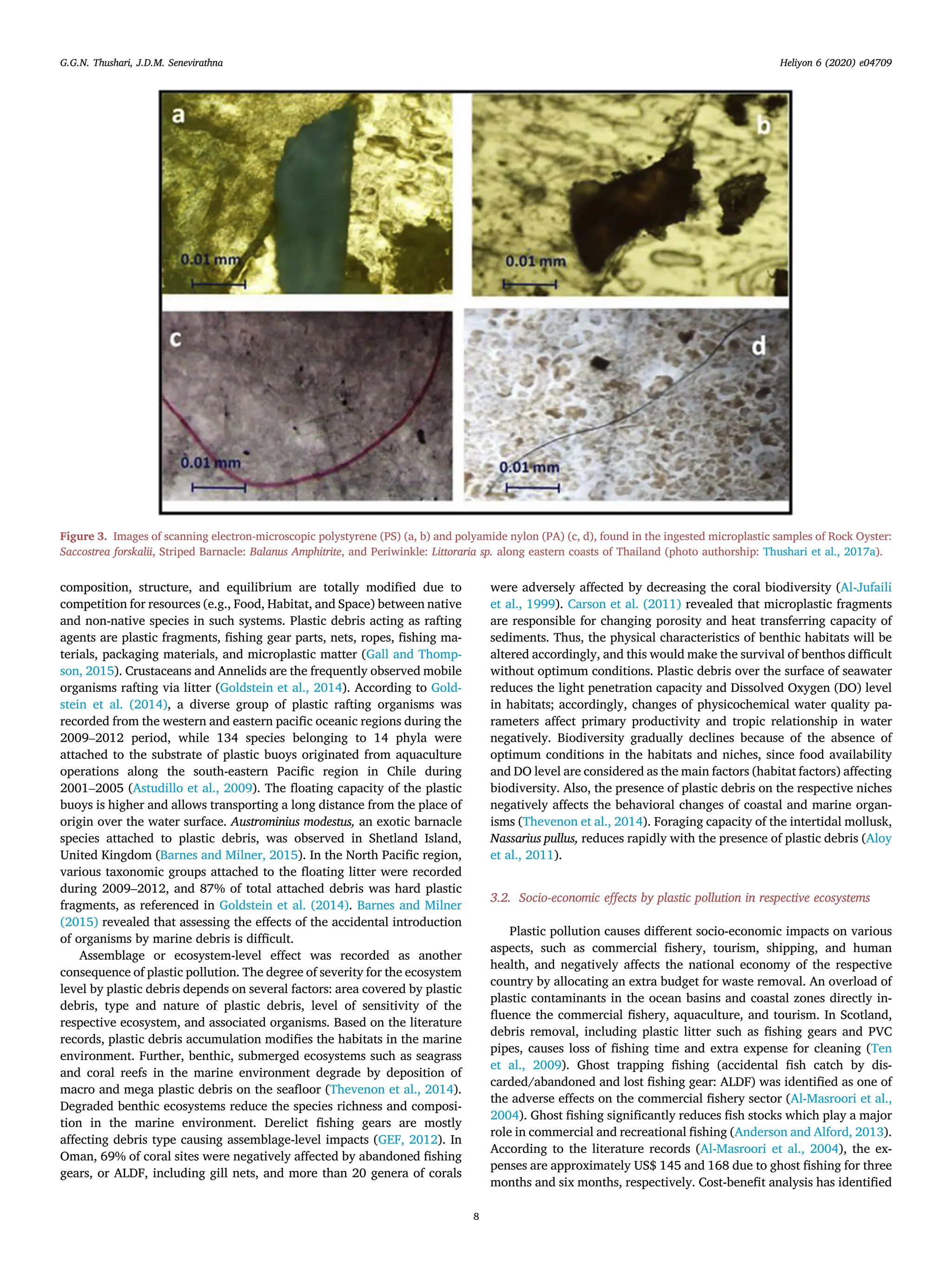 Plastic_pollution_in_the_marine_environment (1).pdf