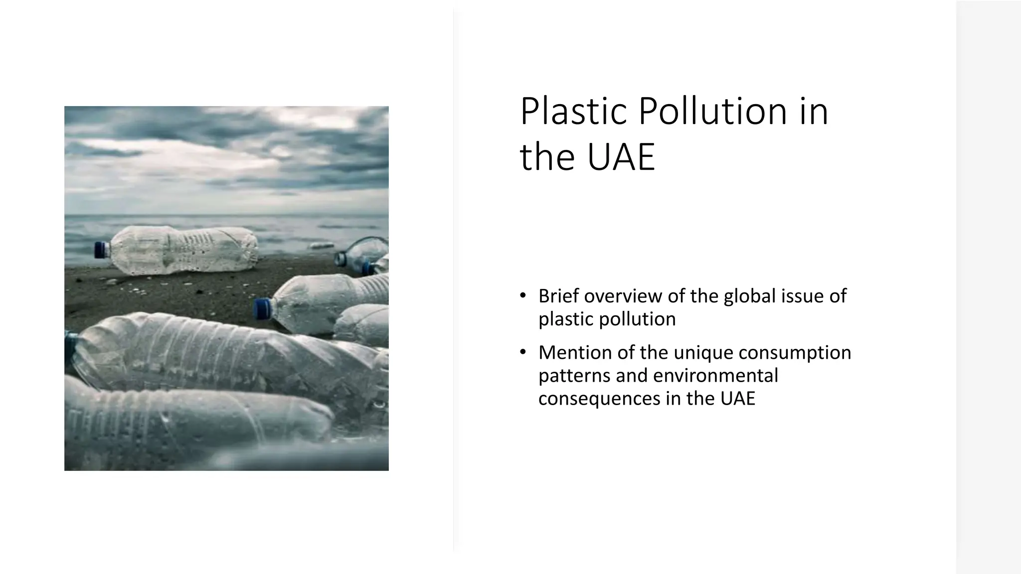 Plastic Pollution in the UAE.pptx