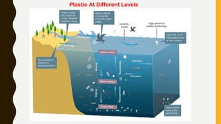 Plastic Pollution IPBL Chemistry-Divyansh Singh.pptx