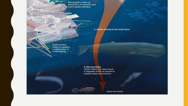 Plastic Pollution IPBL Chemistry-Divyansh Singh.pptx