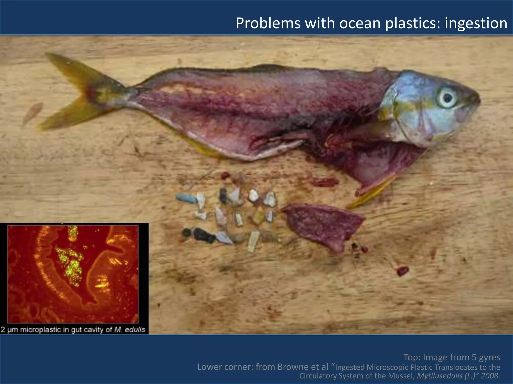 Plastic pollution: policies & wicked problems | PPTX