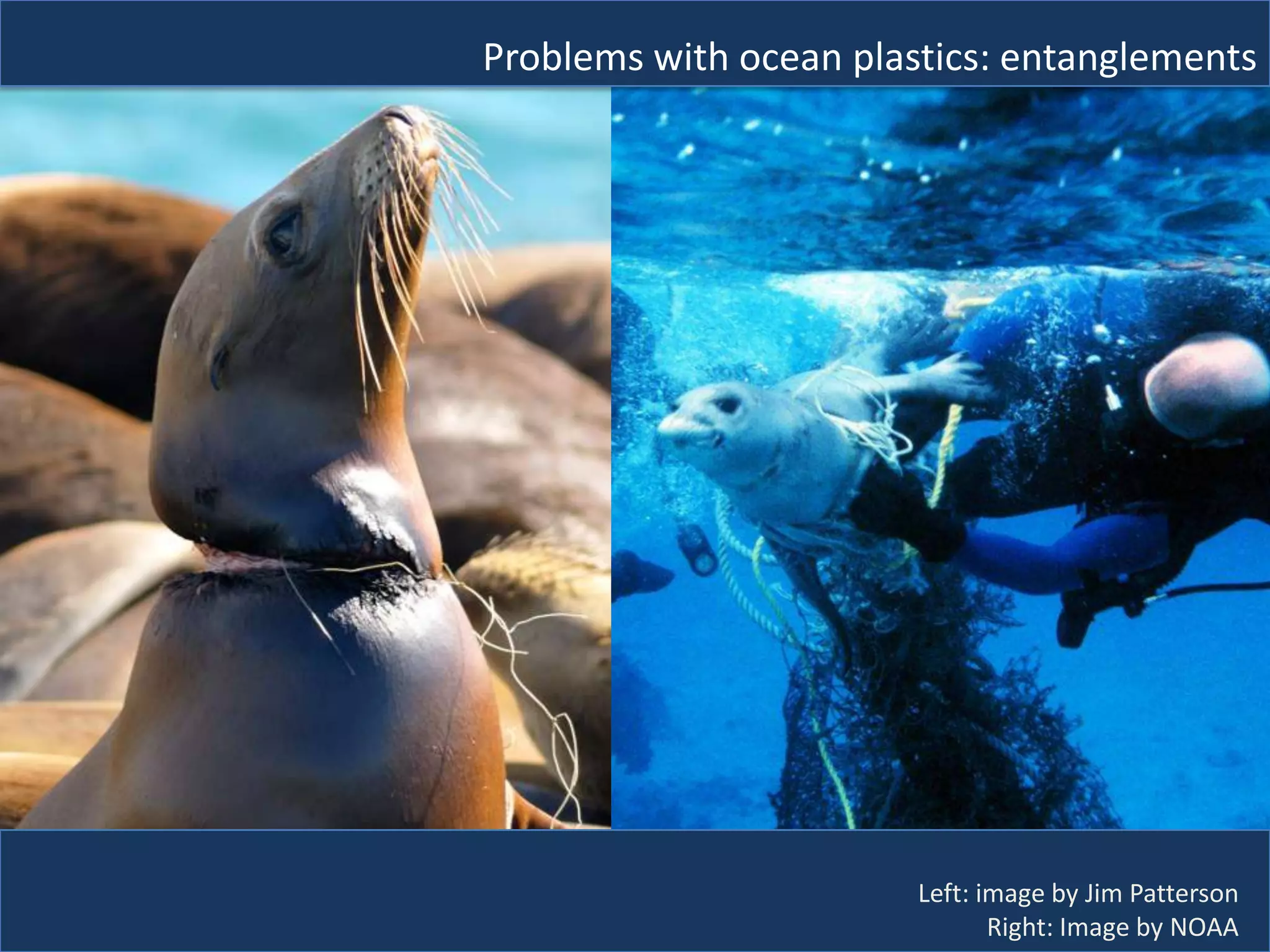 Plastic pollution: policies & wicked problems | PPTX