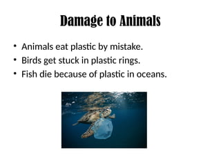 Plastic Pollution Presentation.pptx vjkjk | PPTX