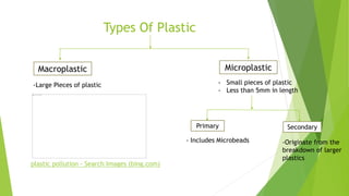 Plastic Pollution & ways to tackel it..pptx