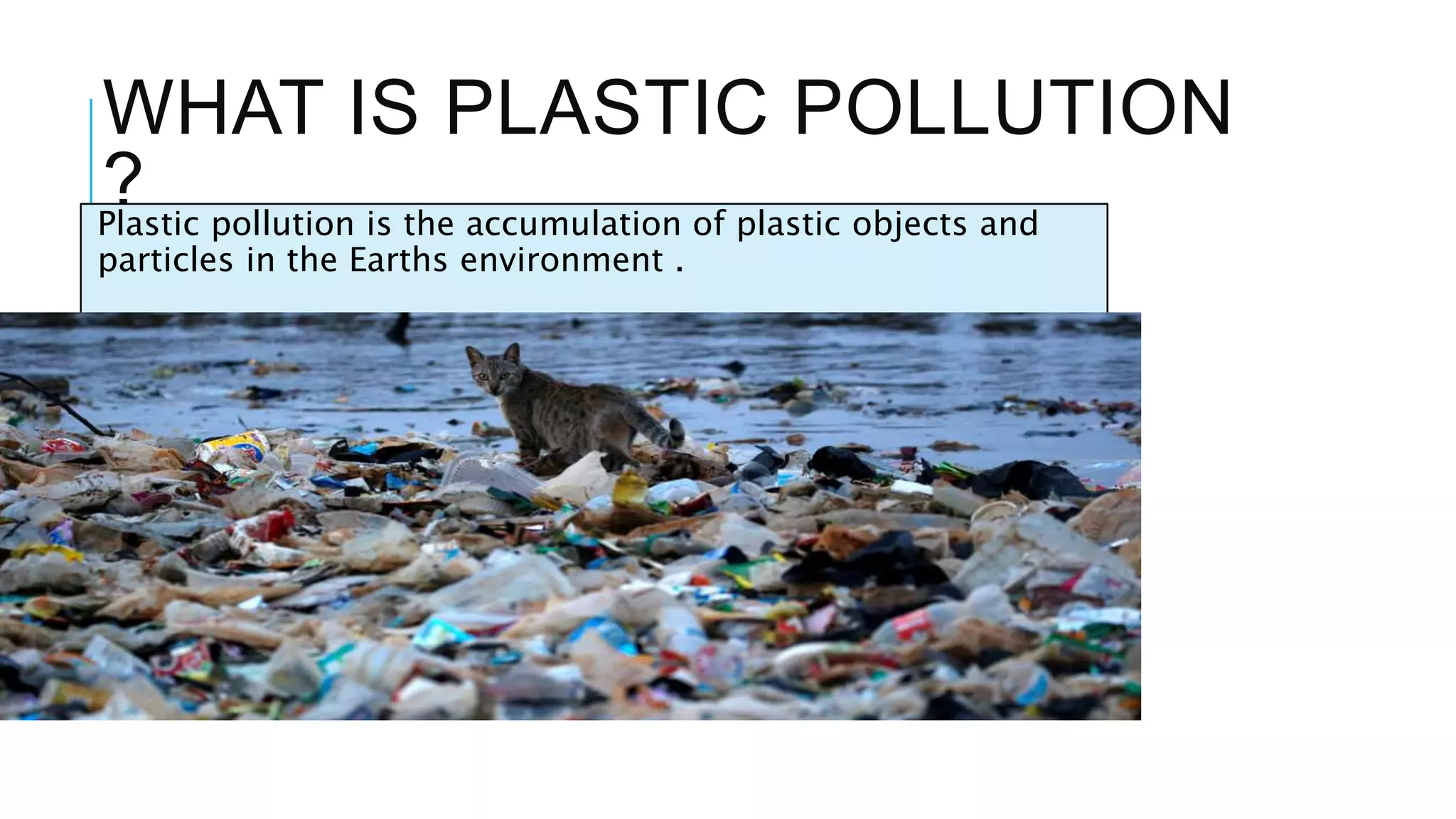 Plastic Pollution | PPTX