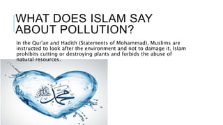 Plastic Pollution | PPTX