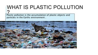 Plastic Pollution | PPTX
