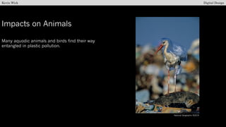 Plastic Pollution | PDF