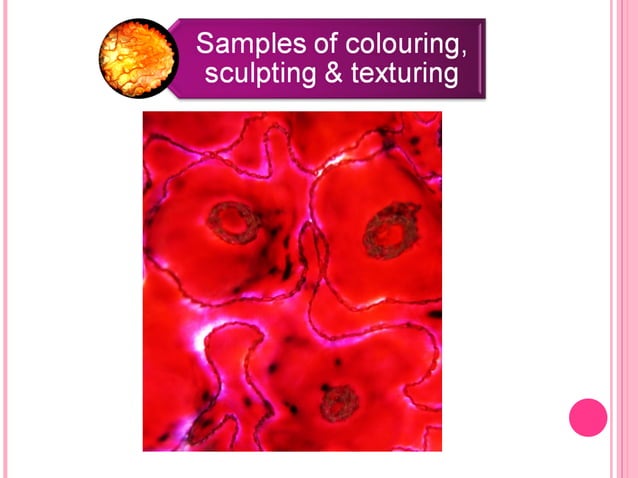 Plastics, Colouring, Recycling & Texturing by Joanne Riddle & Ondrej ...