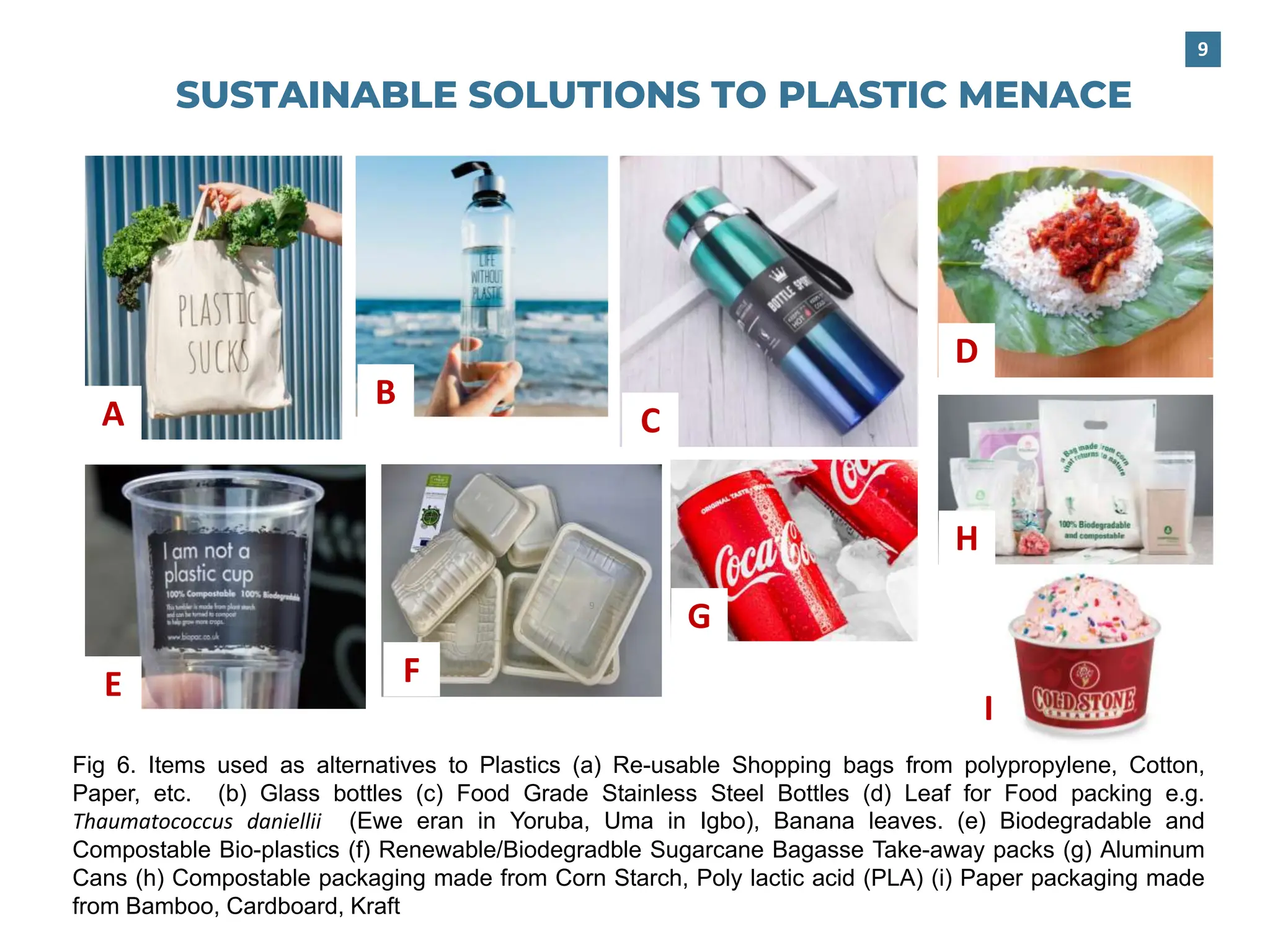 Plastics: A Challenging Menace and the Way Forward.pptx
