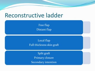 Plastic surgery & physiotherapy in burns | PPTX