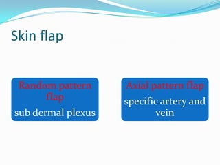 Plastic surgery & physiotherapy in burns | PPTX