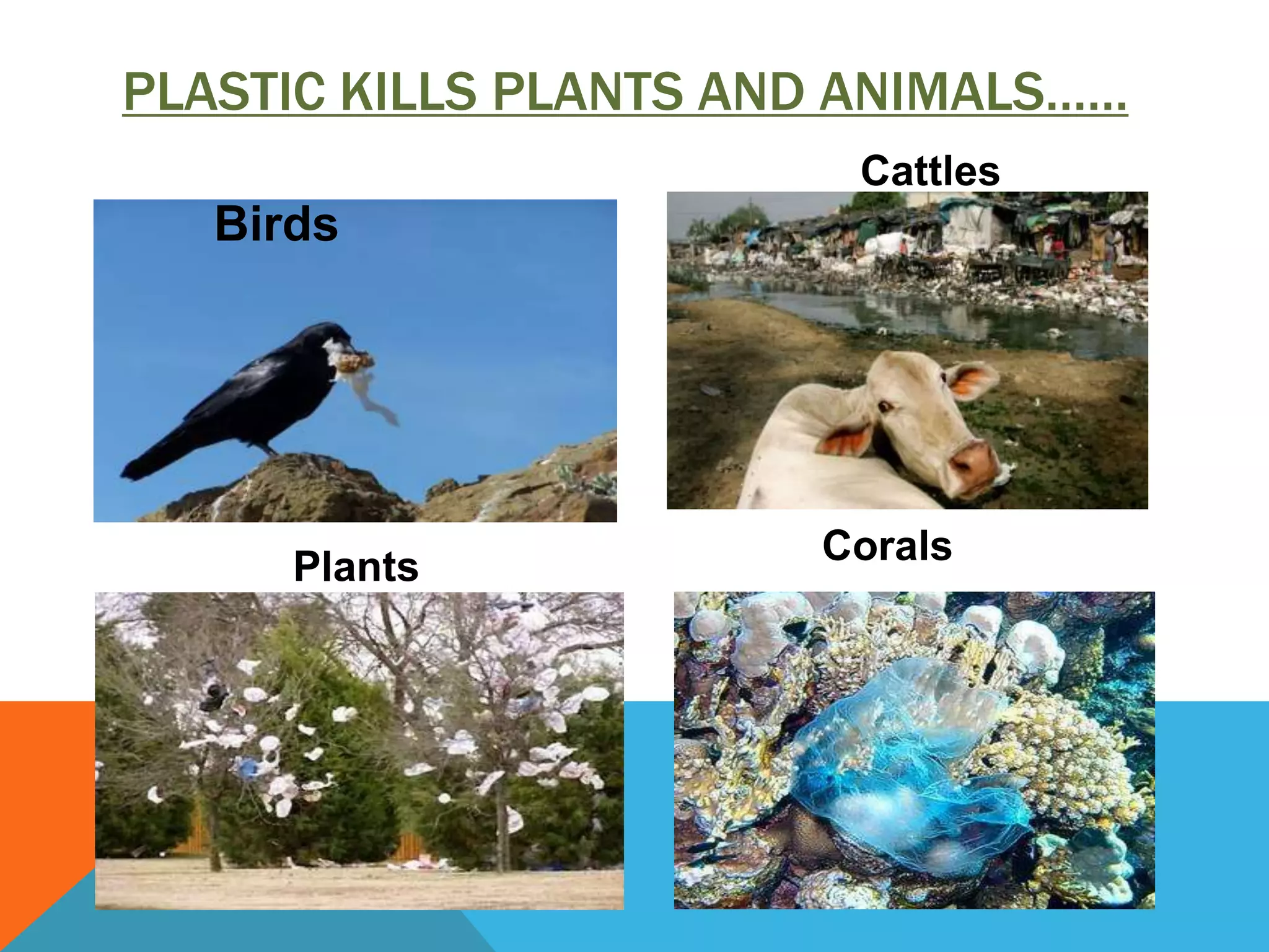 Plastic waste management | PPT