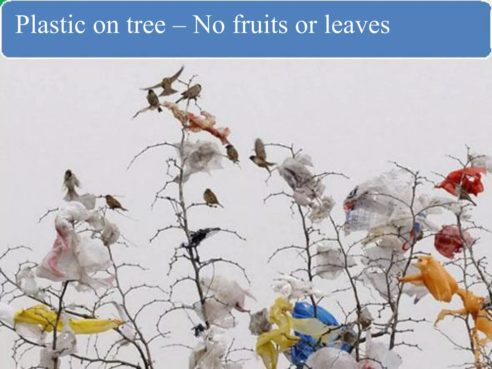 Plastic waste management & awareness | PDF