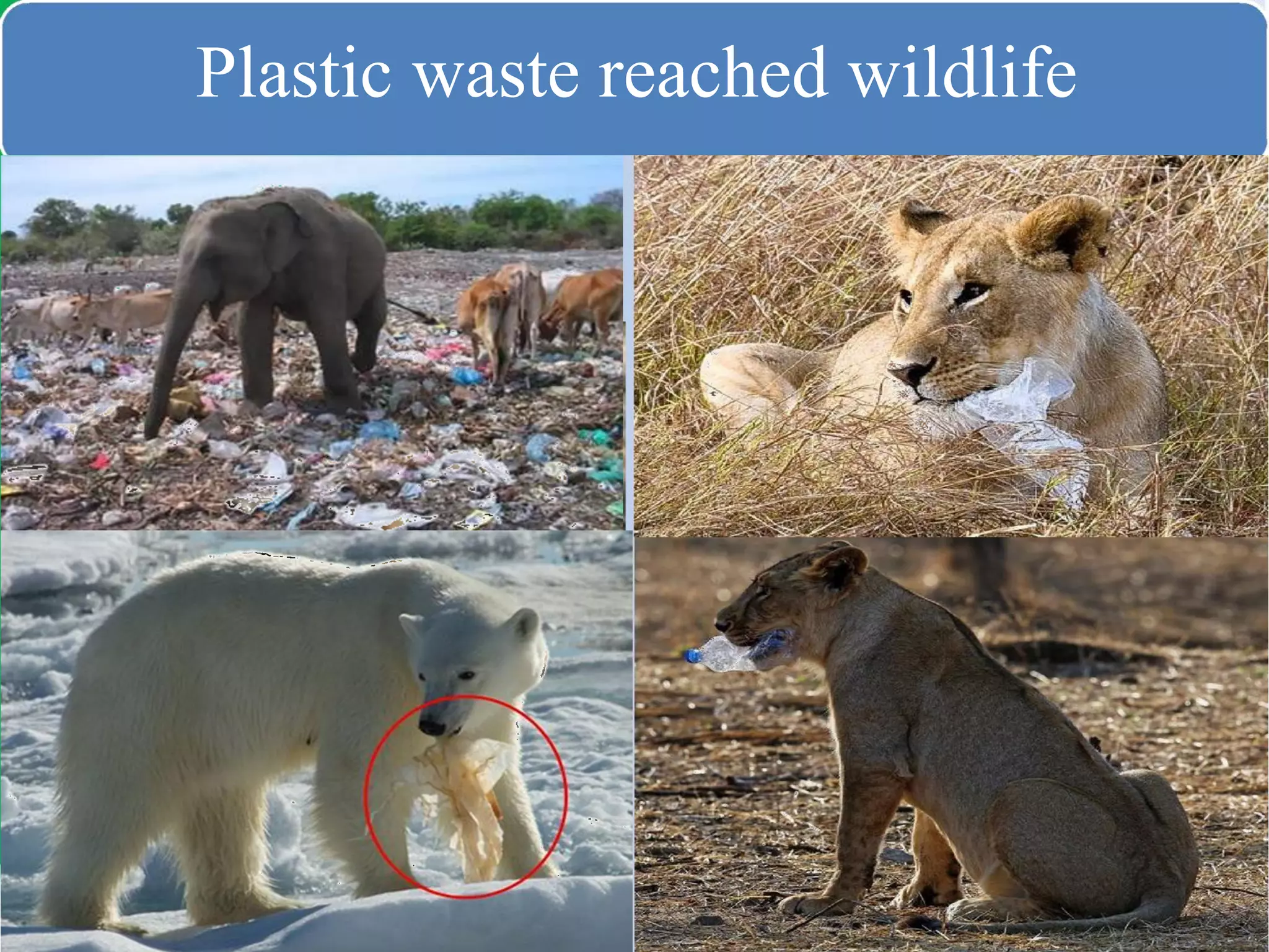 Plastic waste management & awareness | PDF