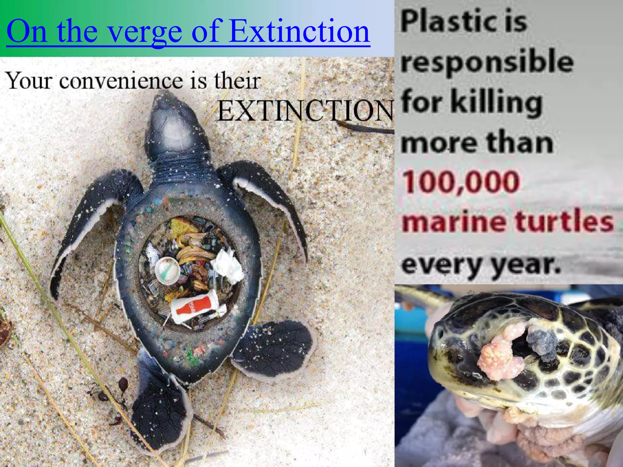 Plastic waste management & awareness | PDF