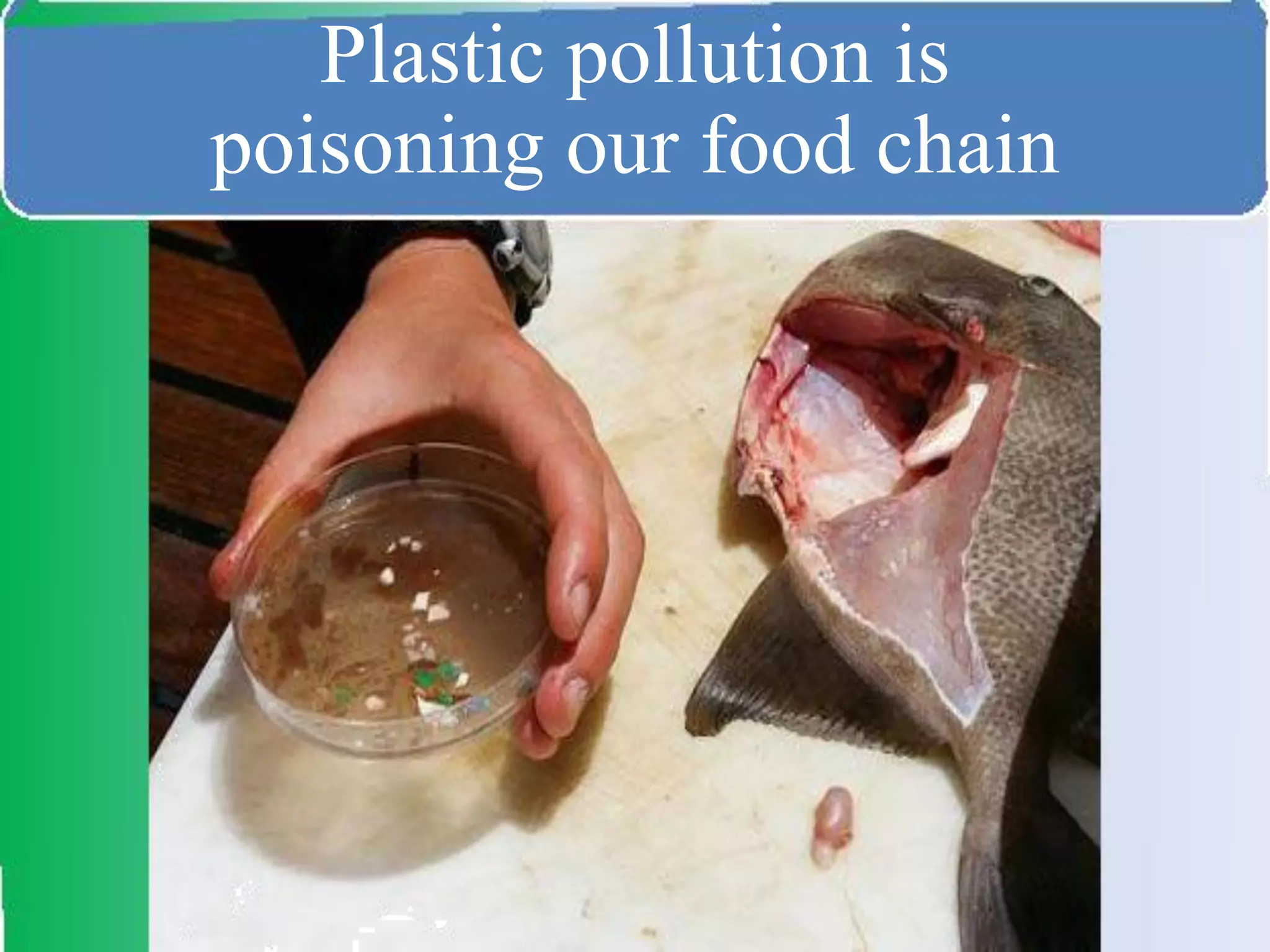 Plastic waste management & awareness | PDF