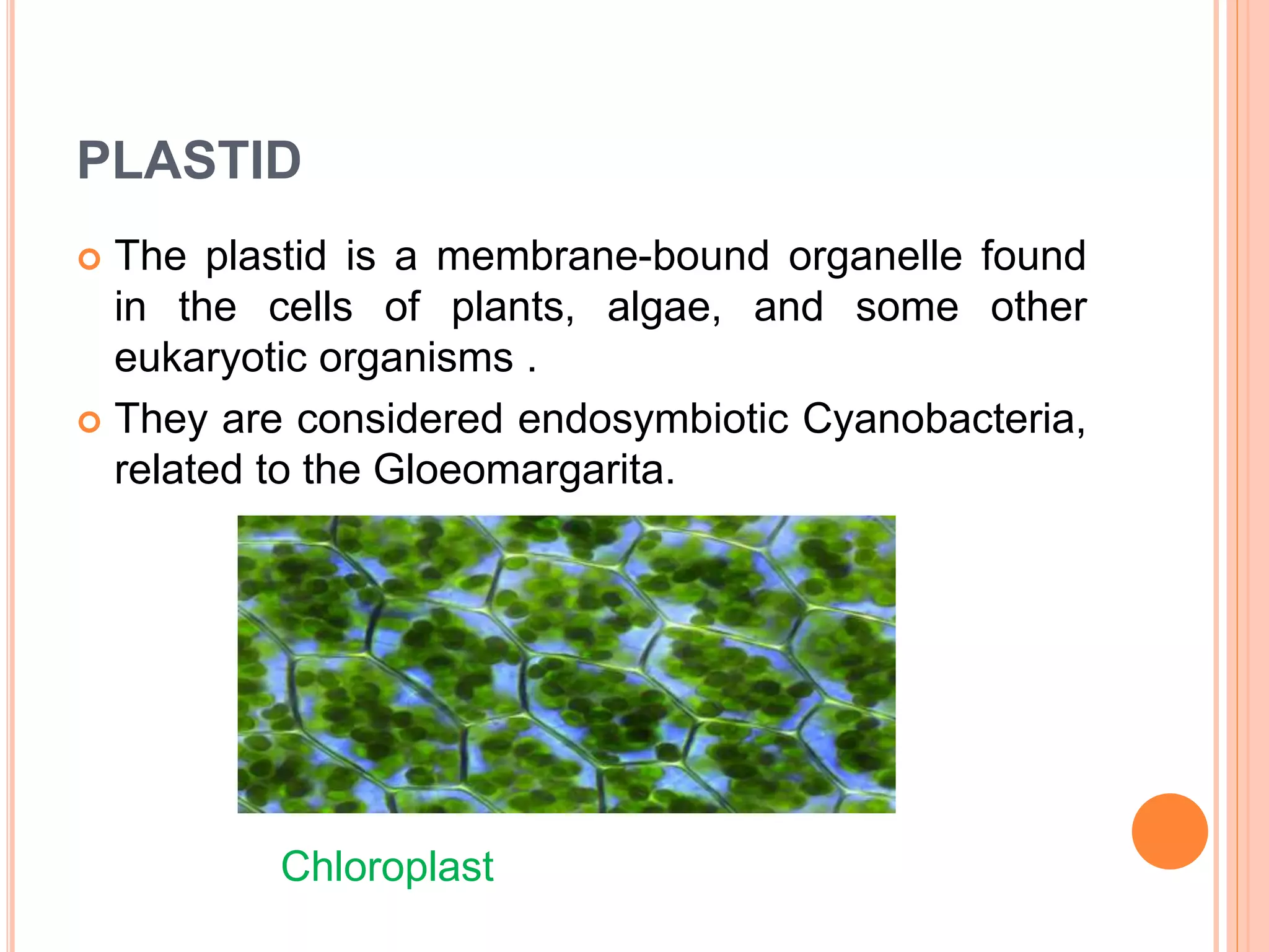 Plastid engineering | PPTX