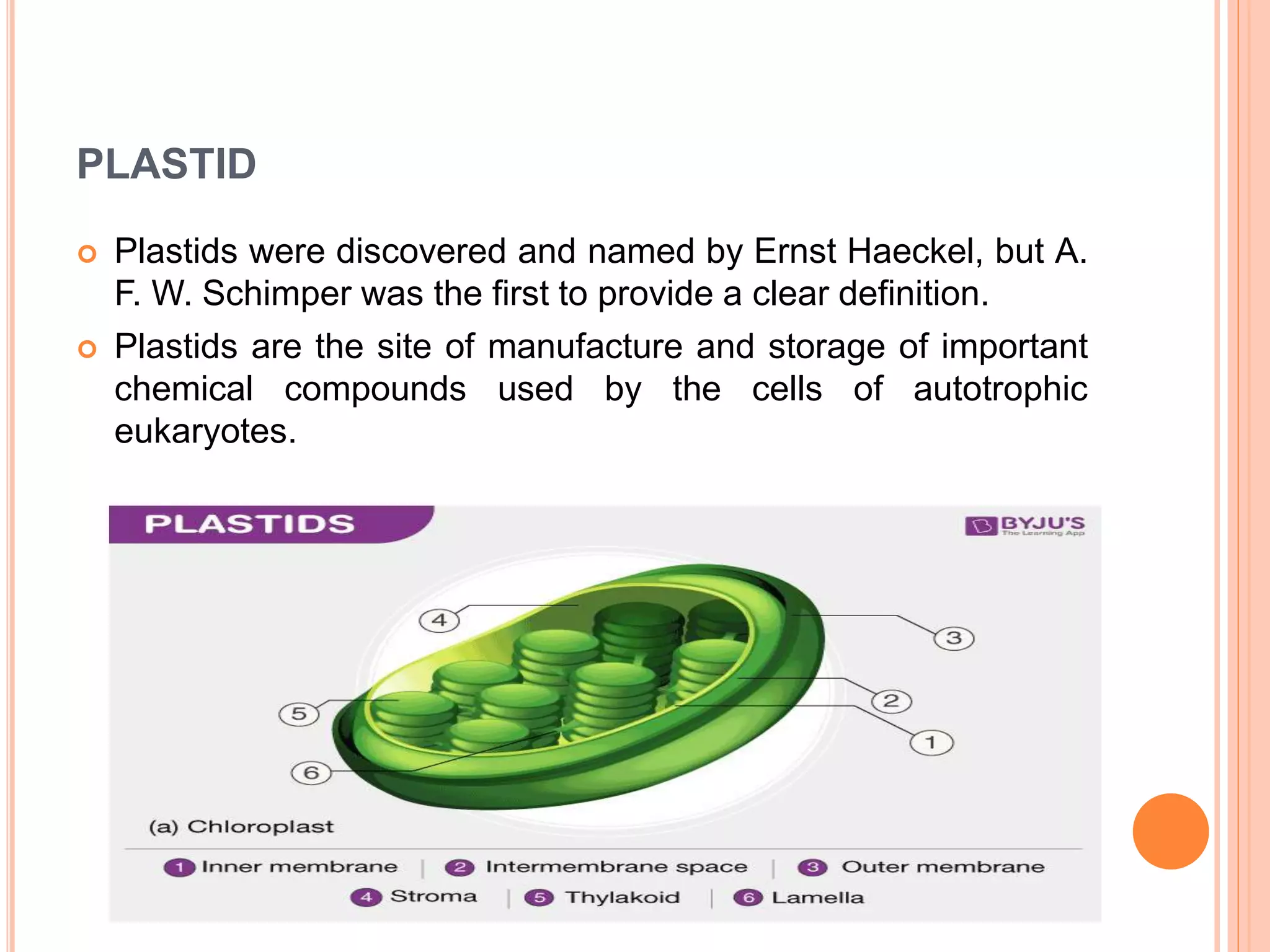 Plastid engineering | PPTX