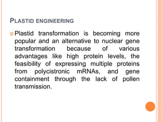 Plastid engineering | PPTX | Agriculture | Industries