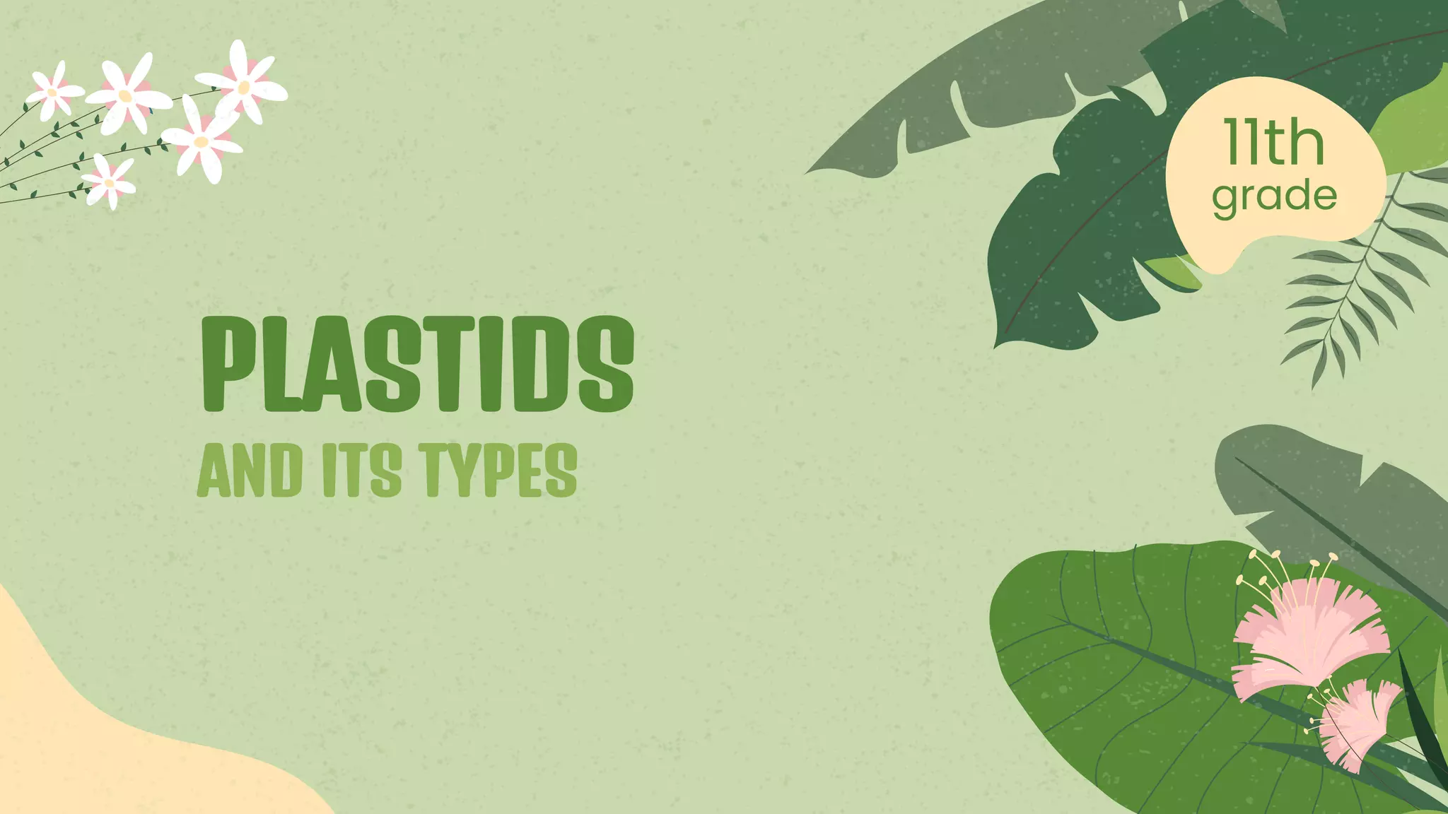 Plastid presentation | PDF