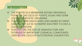 Plastid presentation | PDF