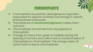 Plastid presentation | PDF
