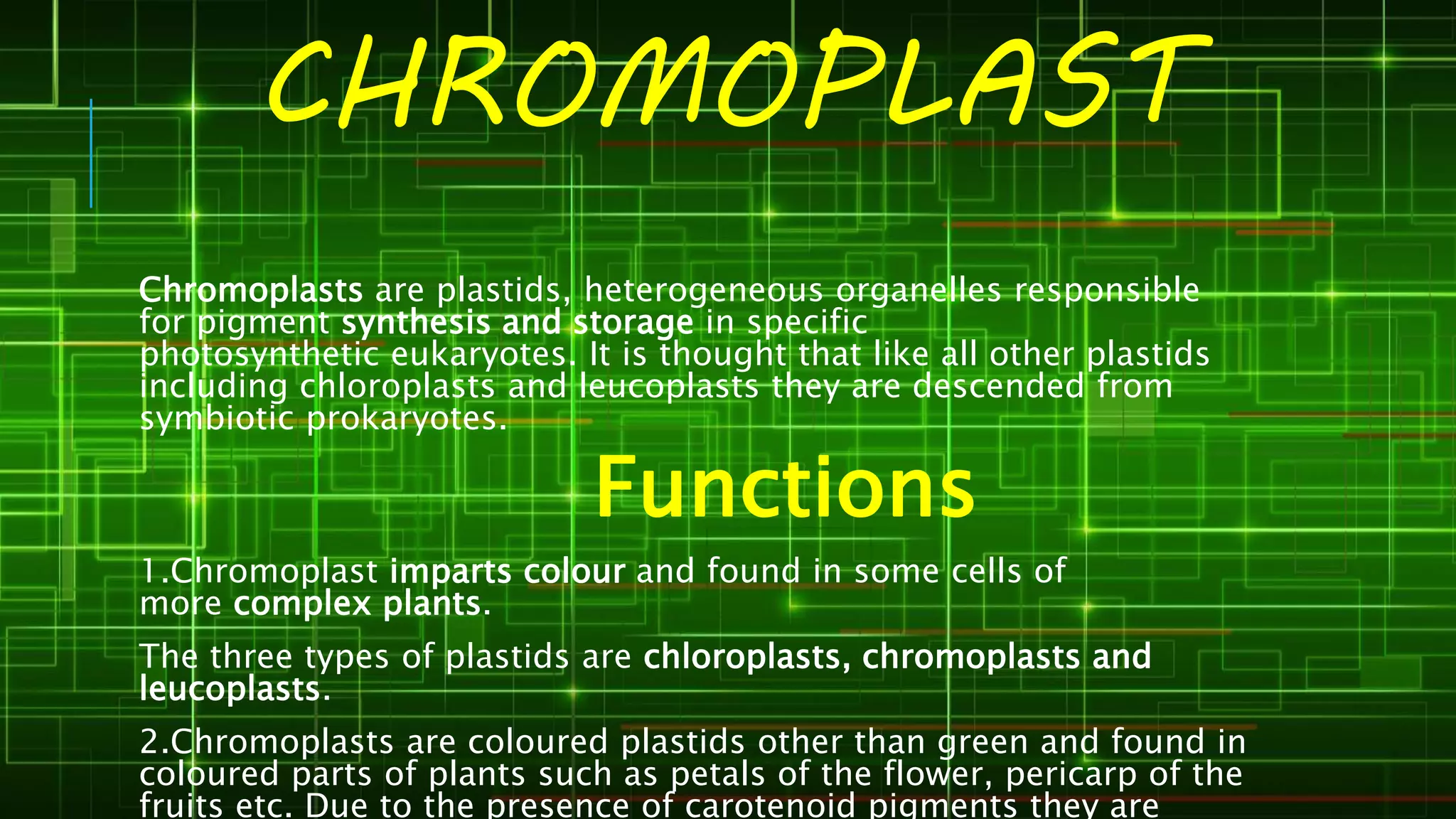 Plastids presentation biology | PPTX