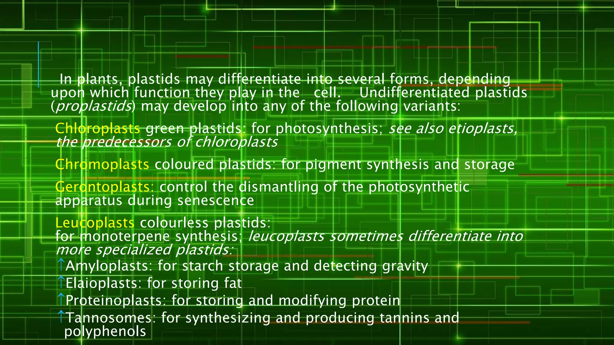 Plastids presentation biology | PPTX