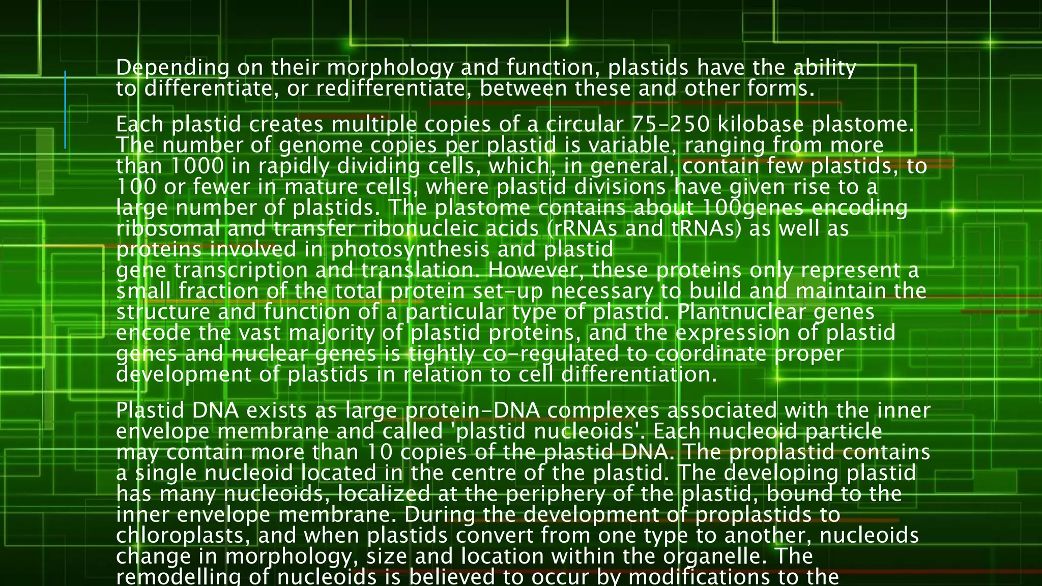 Plastids presentation biology | PPTX