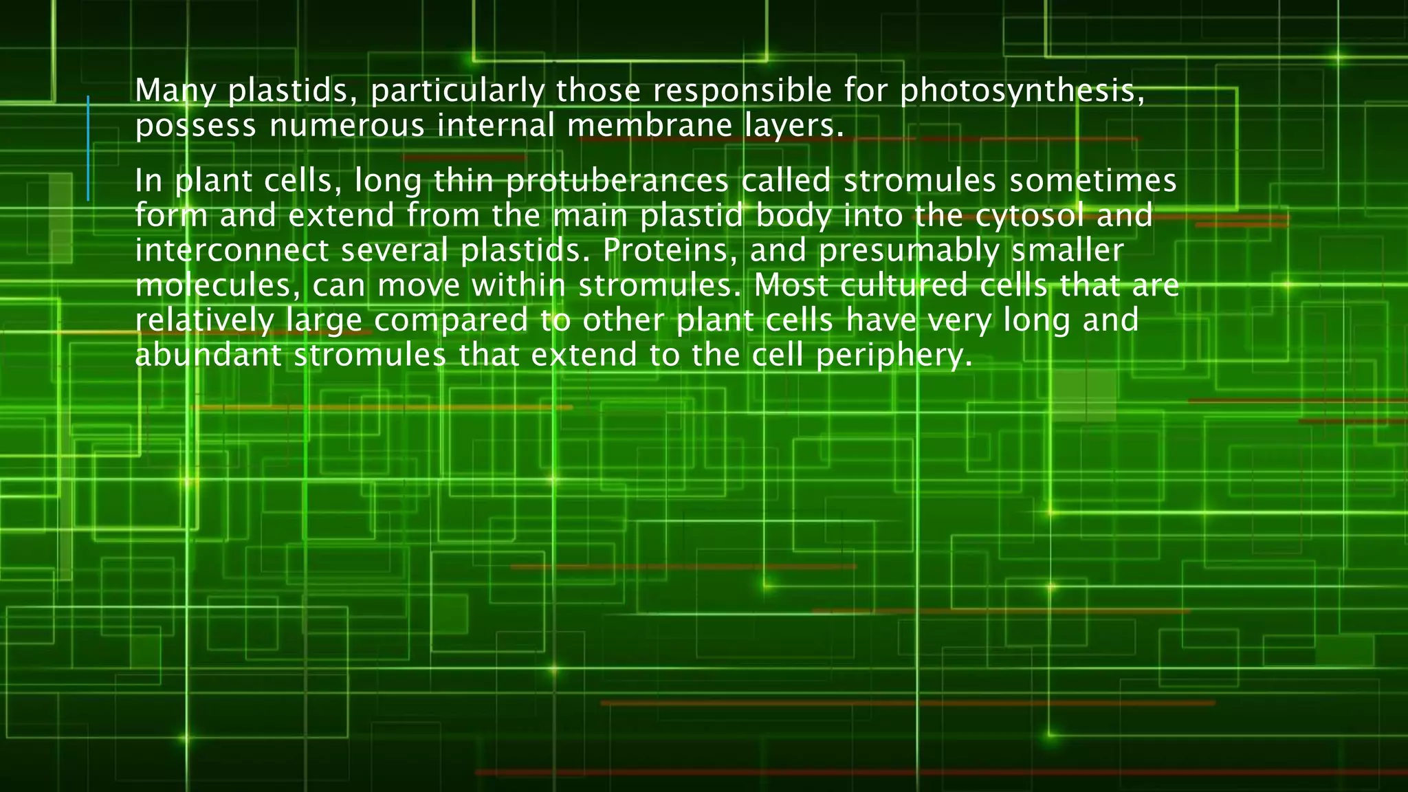 Plastids presentation biology | PPTX