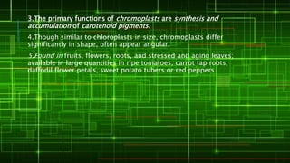 Plastids presentation biology | PPTX