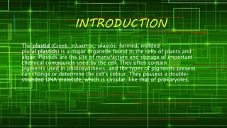 Plastids presentation biology | PPTX