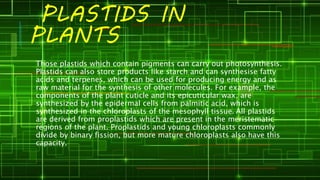 Plastids presentation biology | PPTX