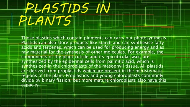 Plastids presentation biology | PPTX