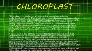 Plastids presentation biology | PPTX