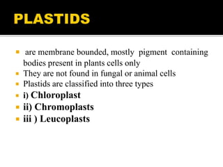 Plastids | PPT