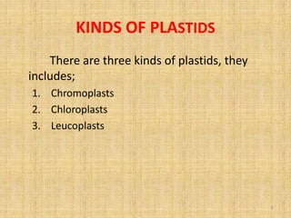 PLASTIDS | PPTX | Gardening | Home & Garden