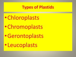 Plastids | PPT
