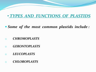 Plastids | PPTX