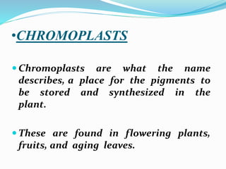 Plastids | PPTX