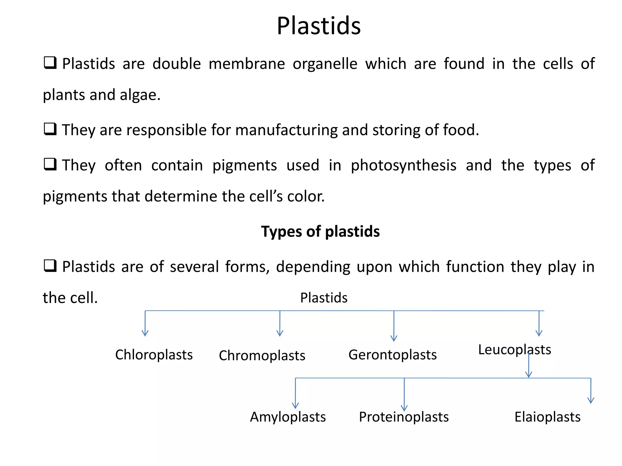 Plastids | PPTX