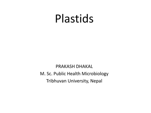 Plastids | PPTX