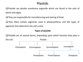 Plastids | PPTX
