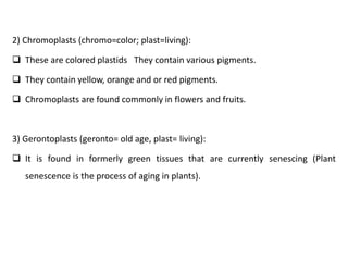 Plastids | PPTX