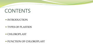 Plastids | PPTX