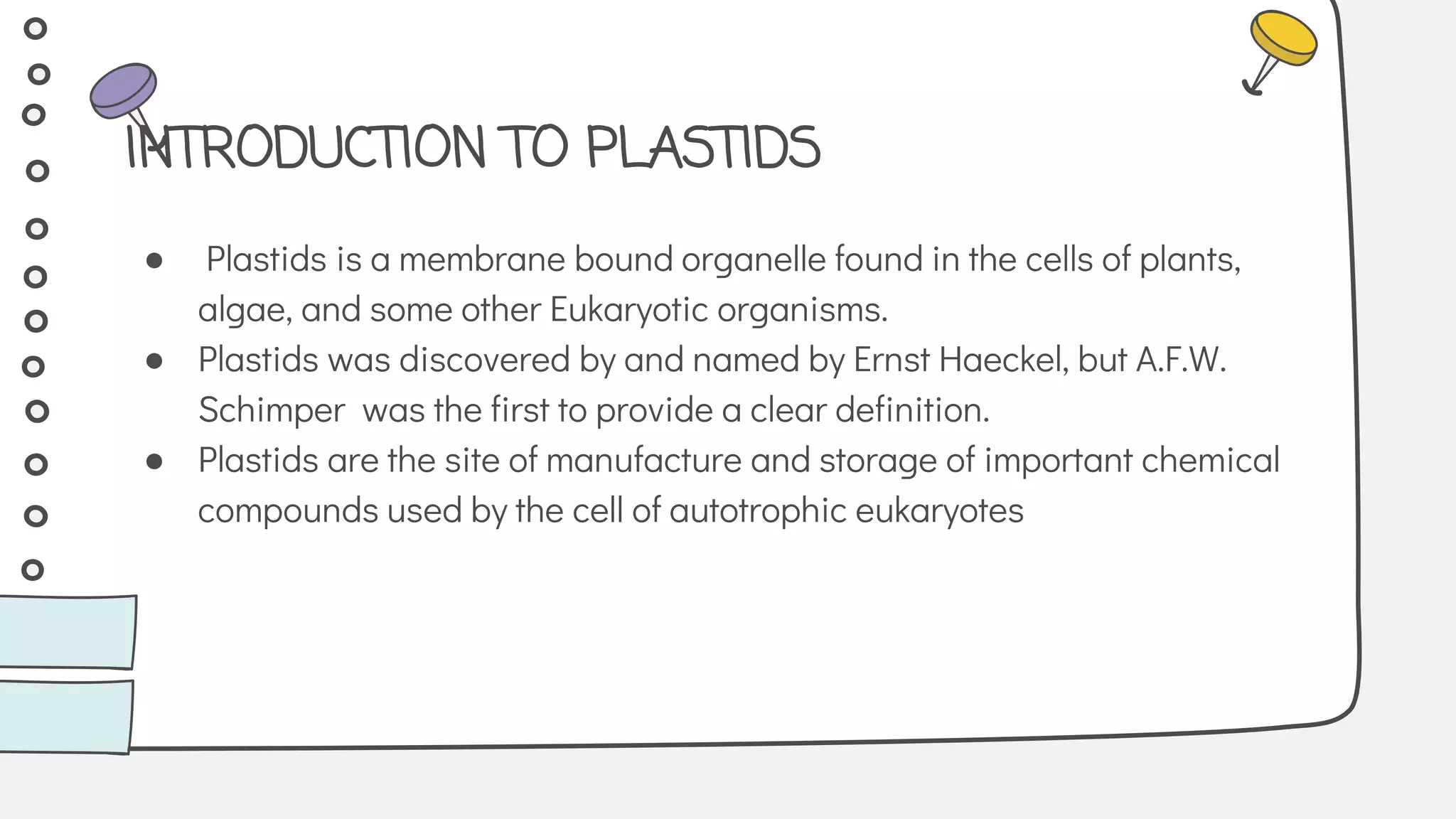 Plastids and its types for class 8th | PPTX