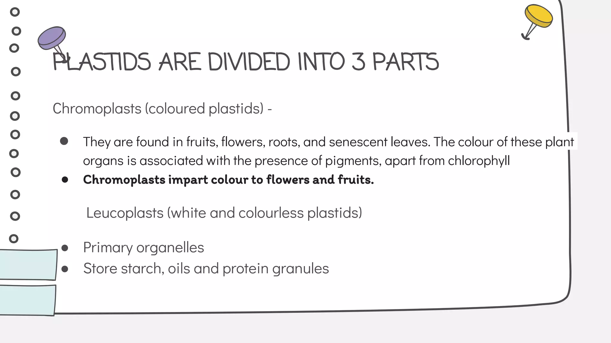 Plastids and its types for class 8th | PPT